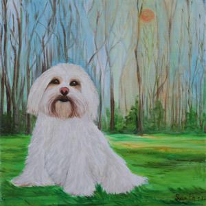 Sonia Art – Portfolio